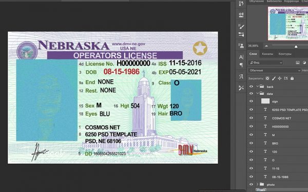 Nebraska driver license Psd Template | Fake Docs