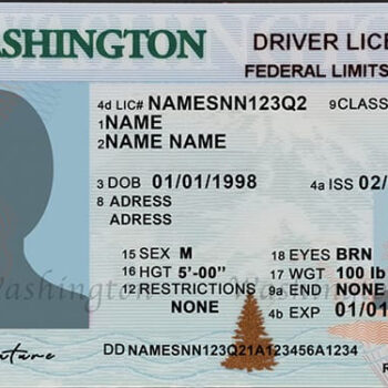 Moldova driver license Psd Template | Fake Docs