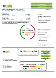 Cameroon ENEO electricity utility bill template in Word and PDF format ...