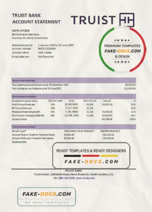 USA Truist Bank statement template in .xls and .pdf file format | Fake ...