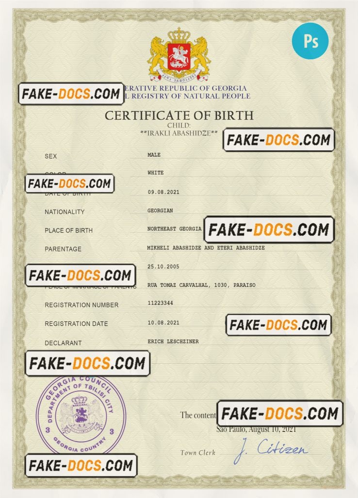 Georgia vital record birth certificate PSD template | Fake Docs