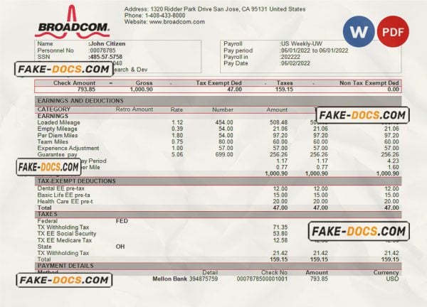 USA Broadcom semiconductor company pay stub Word and PDF template ...
