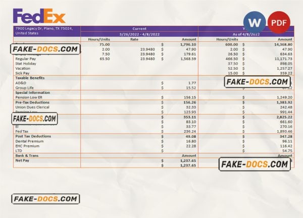 USA Fedex transportation company pay stub Word and PDF template | Fake Docs