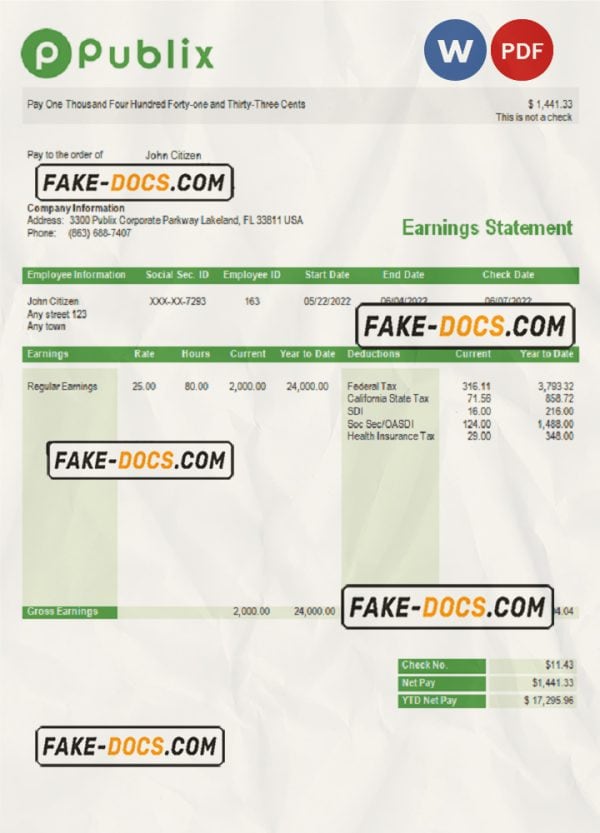 USA Publix Super Markets Inc. supermarket company pay stub Word and PDF ...