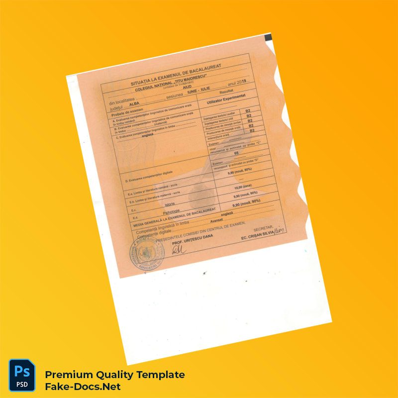 Pakistan Institute of Technical and Professional Education One Year ...